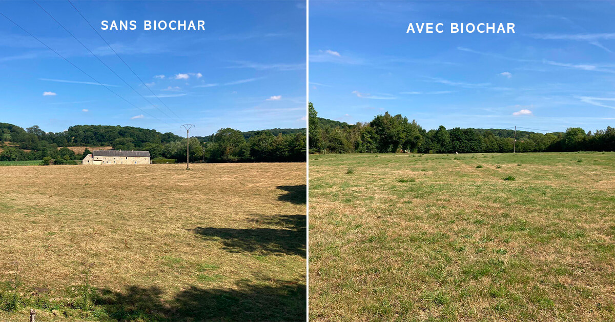 La différence entre engrais et biochar – Terra fertilis